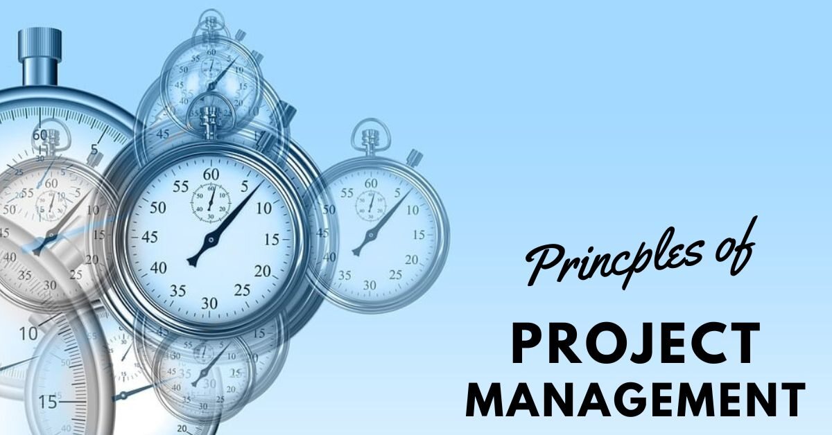 Project Management Principles PMI: Mastering Success Strategies ...